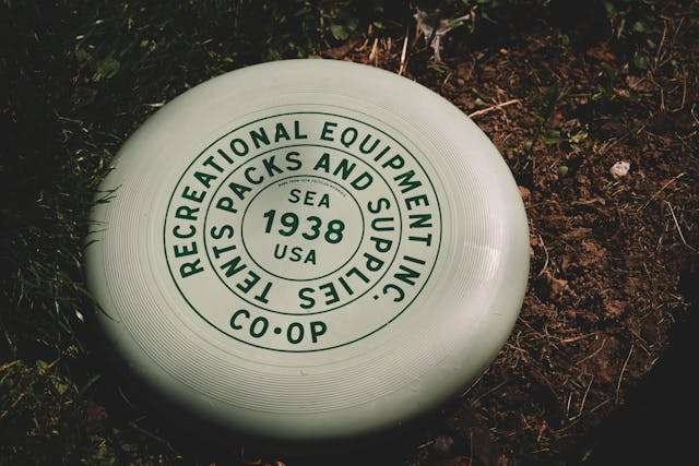 Frisbee: The 1950s Toy That Took Flight - Remember That Toy