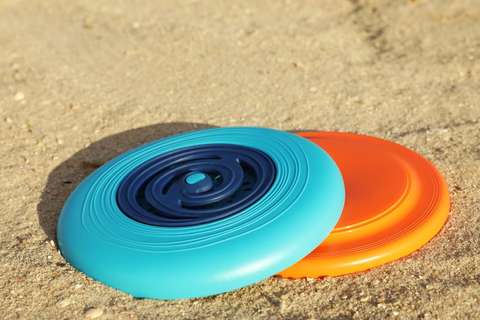 Frisbee: The 1950s Toy That Took Flight - Remember That Toy