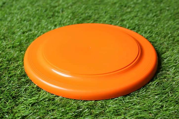 Frisbee: The 1950s Toy That Took Flight - Remember That Toy